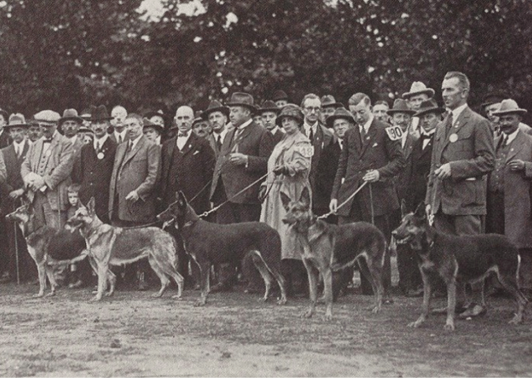 German Shepherd Dog History. GSD Breed History and Origin