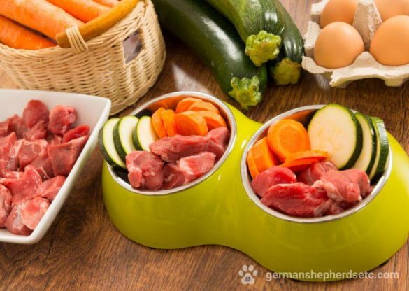 German Shepherd Feeding: A Complete Guide and Essential Tips