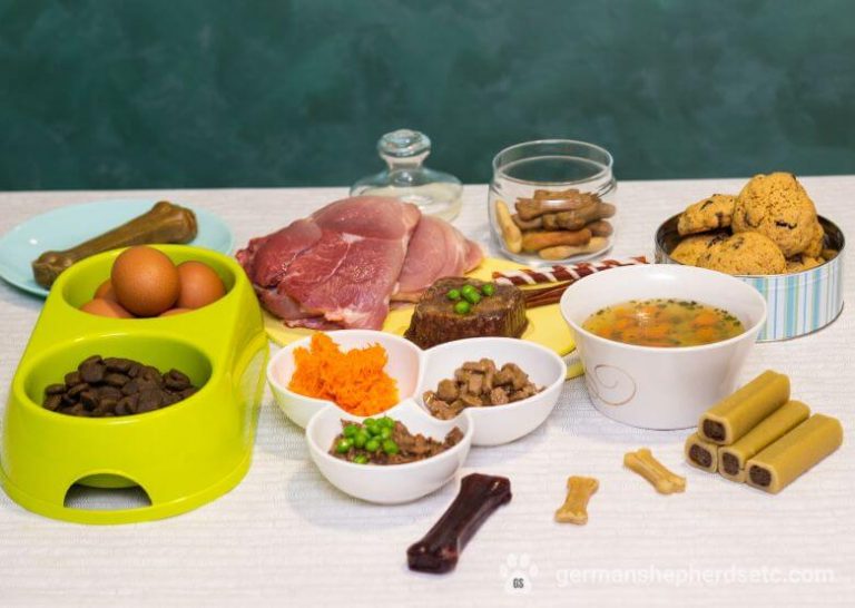 German Shepherd Feeding: A Complete Guide and Essential Tips